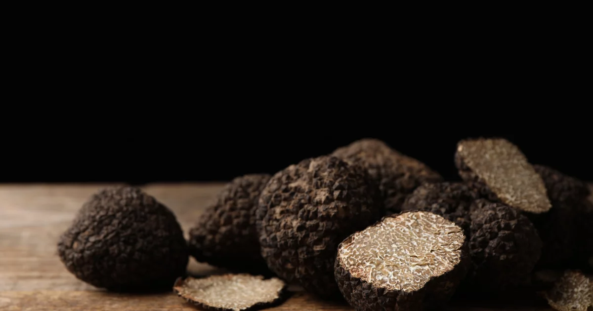Ingrediënt in de kijker: truffel - 10 weetjes en recepten